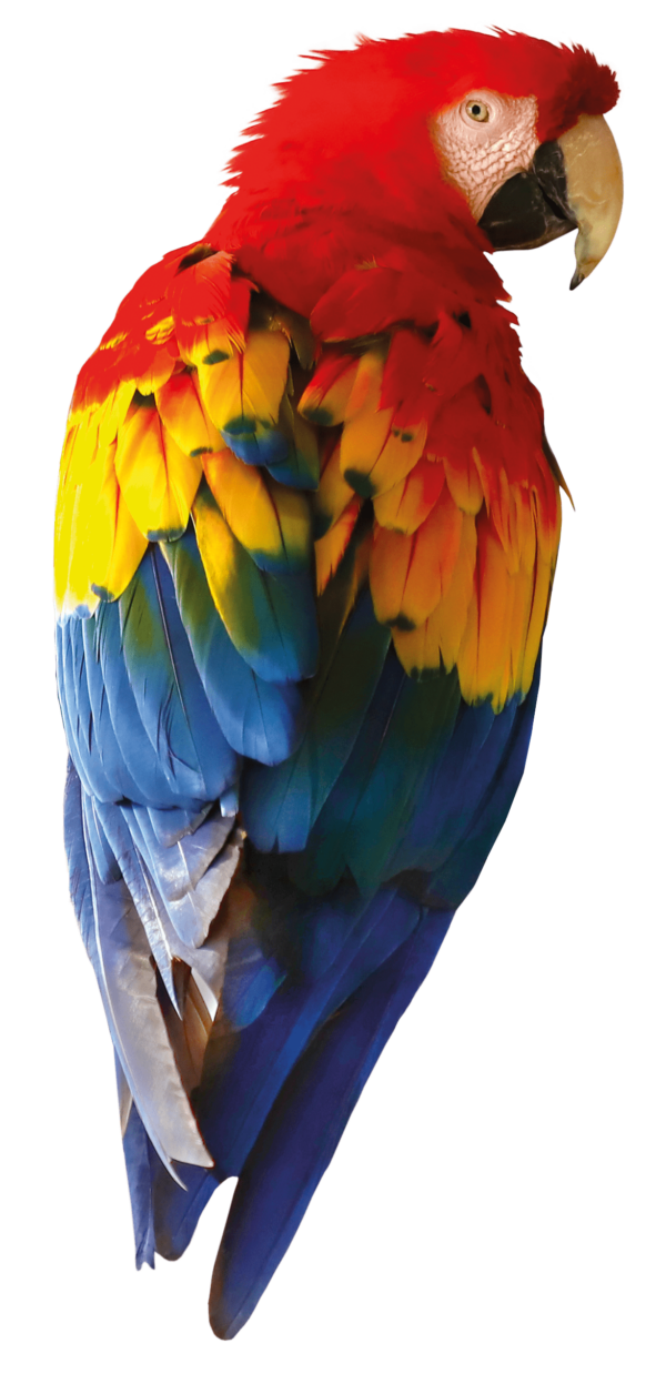 Zoologischer Stadtgarten Karlsruhe