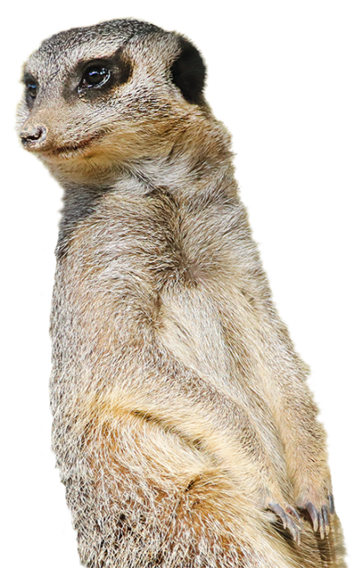 Tiere von A bis Z – Zoologischer Stadtgarten Karlsruhe